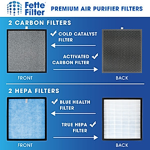 Fette Filter -HSP001 Filter Replacements for HATHASPACE Air Purifier HSP001, True HEPA Filter with Activated Carbon Pre-Filters. Includes 2 H13 True Hepa FIlters and 2 Activated Carbon Filters.