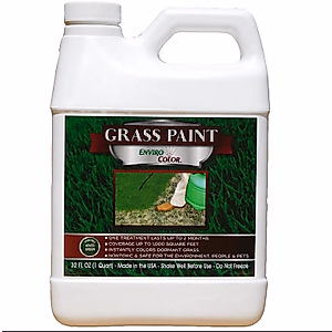 Seymour Grass and Shrub Renew Spray Paint and EnviroColor 4Evergreen Grass & Turf Paint
