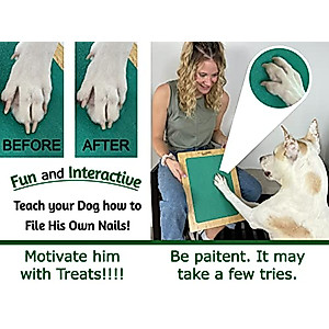 ZENLY PAWS Dog Scratch Board for Nails, Double Sided, File Paper Coarse and Fine Grit, Any Size Dog, Dog Nail File Board 16" x 12", Calming NailCare, Scratch Square for Dogs, Dog Scratch Pad For Nails