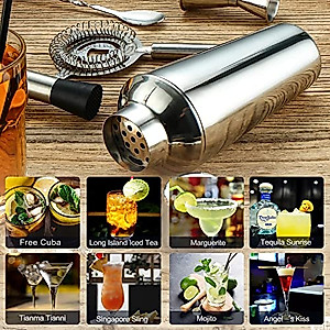 Cocktail Shaker Set Bartender Kit with Stand,17-Piece Stainless Steel Bar Kit Drink Mixer Set, Including Martini Shaker, Jigger, Strainer, Mixer Spoon, Muddler, Liquor Pourers, and Recipes Booklet etc