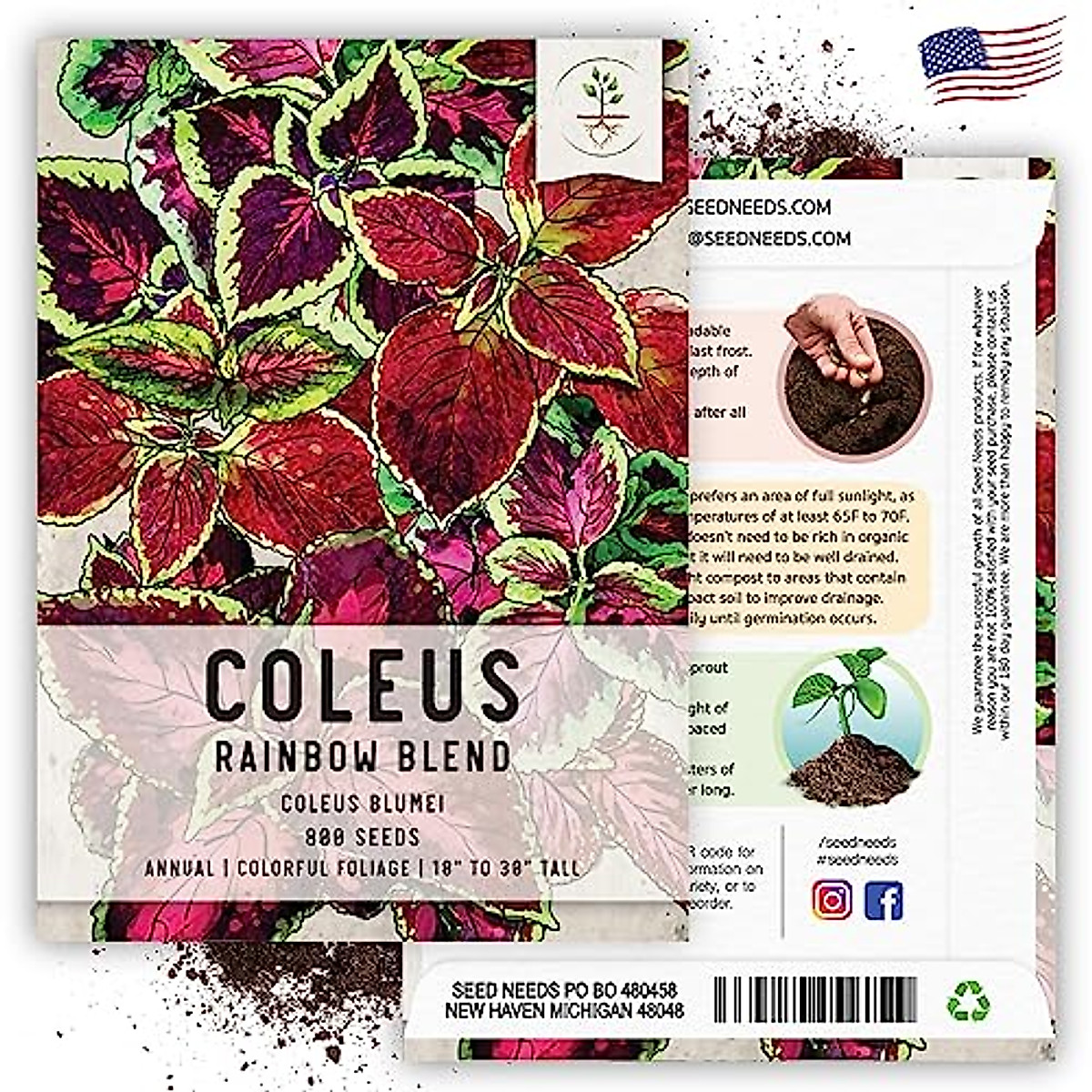 Seed Needs, Rainbow Blend Coleus Seeds for Planting (Coleus blumei) Heirloom & Open Pollinated, Prefers Partial Shade