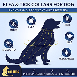 4 Pack Flea Collar for Dogs, Flea and Tick Collar for Dogs Puppies, 32 Months Flea and Tick Prevention for Dogs, Dog Flea Collar, Dog Flea and Tick Treatment-Black and Purple