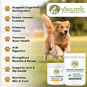 Wholistic Canine Complete with Organic Pumpkin for Dogs - 1 Lb - Dog Vitamins and Supplements with Pumpkin Powder for Digestion, Skin & Coat Health - Multivitamin for Dogs with Probiotics & Fiber