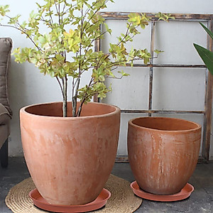 Bleuhome 6 Pack of 6 inch Plant Saucer, 4 6 8 10 12 14 16 inch Plant Saucers, Heavy Duty Plastic Plant Water Tray Round, Planter Drip Trays for Pot, Flower Saucers for Indoors (6 inch, Terracotta)