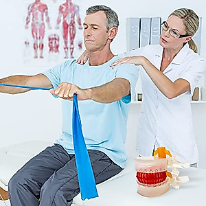 SKUMOD Human Lumbar Disc Herniation Model, Transparent Lumbar Spine Model, Lumbar Disc Anatomical Model with Elastic Software