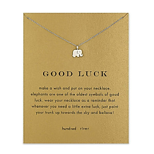 Baydurcan Friendship Anchor Compass Necklace Good Luck Elephant Pendant Chain Necklace with Message Card Gift Card (Silver Elephant)