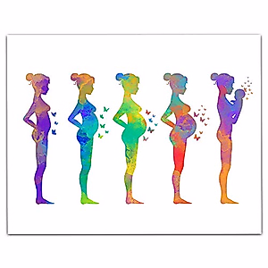 Pregnant Lady Stages Abstract Wall Art Print 14x11, Ideal for Obstetrician, Gynecologist, MidWife, Doula or Labor Nurse, Great Practice Decor