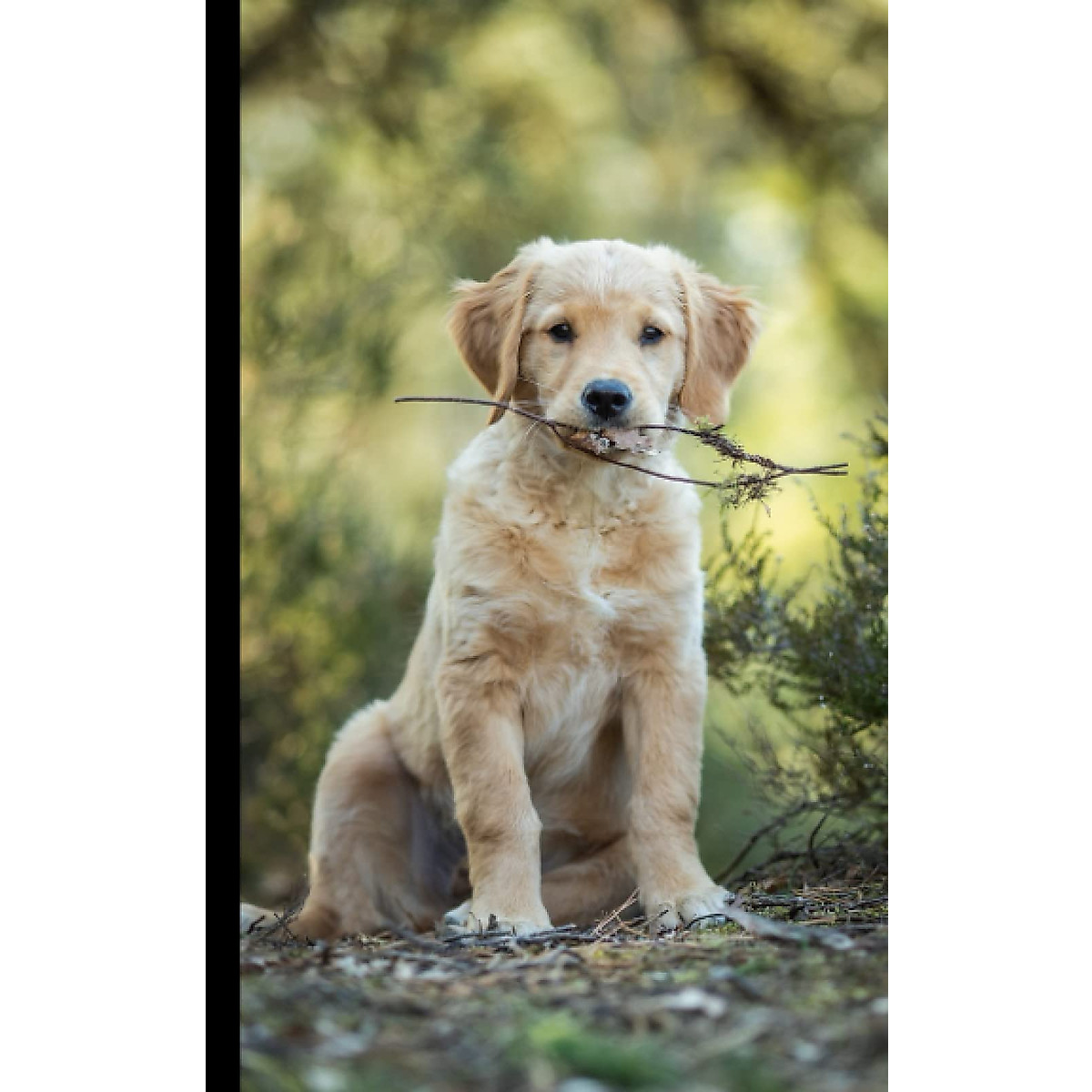 Puppy Password Keeper Journal: A Logbook to Keep You Organized