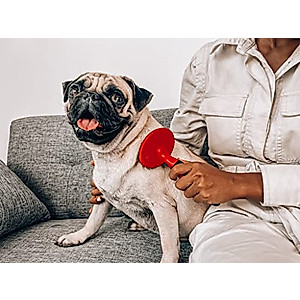 Tuff Pupper Round Bristle Soft Brush for Dogs and Cats | Gentle Grooming for Short or Long Hair | Soft Pin Tool for Sensitive Skin | Detangle & Remove Loose Fur | For Dematting & Detangling Undercoat