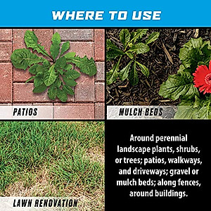 Ortho GroundClear Super Weed & Grass Killer1: with Comfort Wand, Kills to the Root, Fast-Acting, 1 gal.