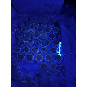 Eco-Sensa 100ml Water Sampling, Safety Test Bottles with Sodium Thiosulfate for Chlorine Neutralization,Sterile,100/Case, Cat #: 89-9001