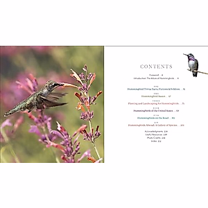 The Hummingbird Handbook: Everything You Need to Know about These Fascinating Birds