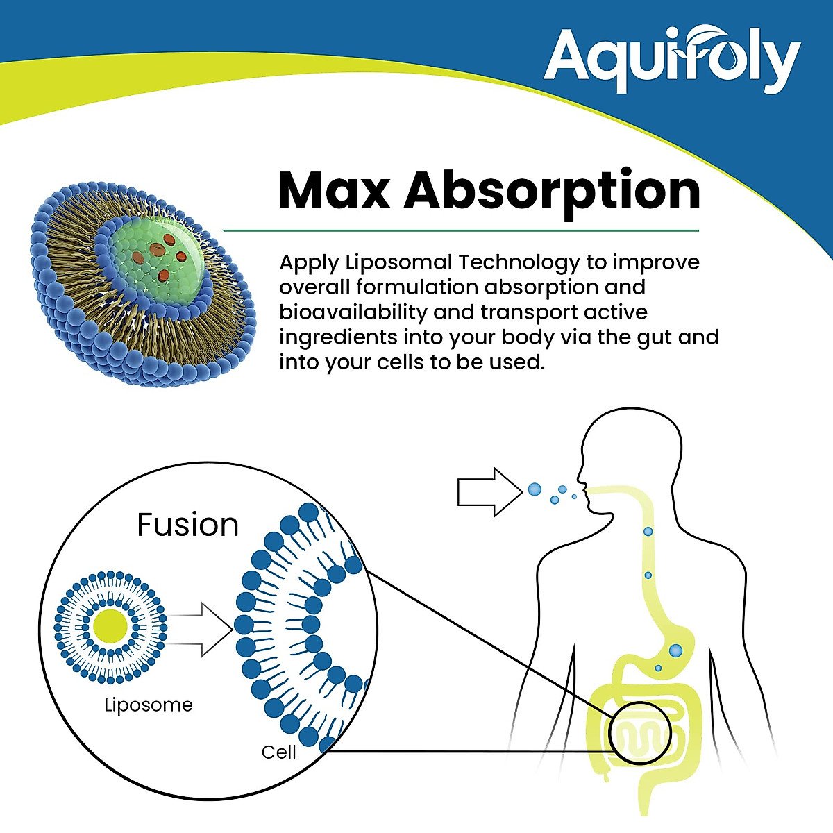 Aquifoly Liposomal Nicotinamide Riboside Supplement 2000 mg with TMG and Pterostilbene for Maximum Absorption, Superior to NAD, Boosting NAD+, Cellular Energy, and Age Defense, 60 Softgels