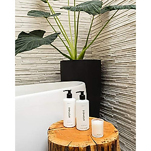 APOTHEKE Luxury Scented Lotion, 10 oz - Nourishing, Moisturizing, & Hydrating for Hand & Body, Enriched Aloe Vera, Plant Based for Dry Skin (Charcoal)