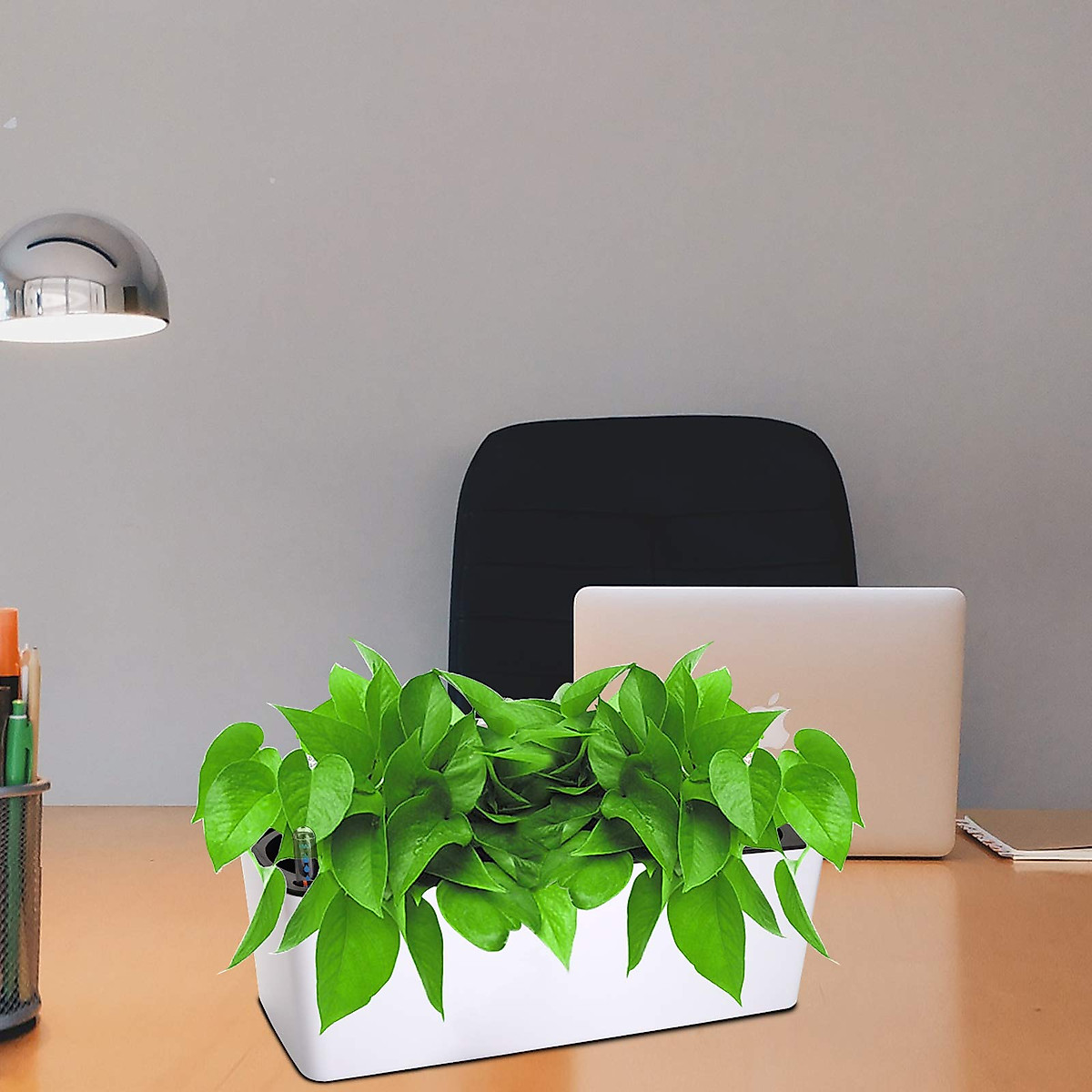 Fasmov 2 Pack Rectangle Self Watering Planter with Water Level Indicator, 16x 5.5 Inch Window Gardening Box, Decorative Planter Pot for All House Plants Flowers Herbs, Decorative Planter Pot