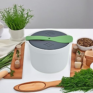 Kitchen Cookware, Microwave Rice Cooker, 2L Food Grade PP Material Rice Spoon Lid Strainer Steaming Pot Rice Cooker Set (Green)