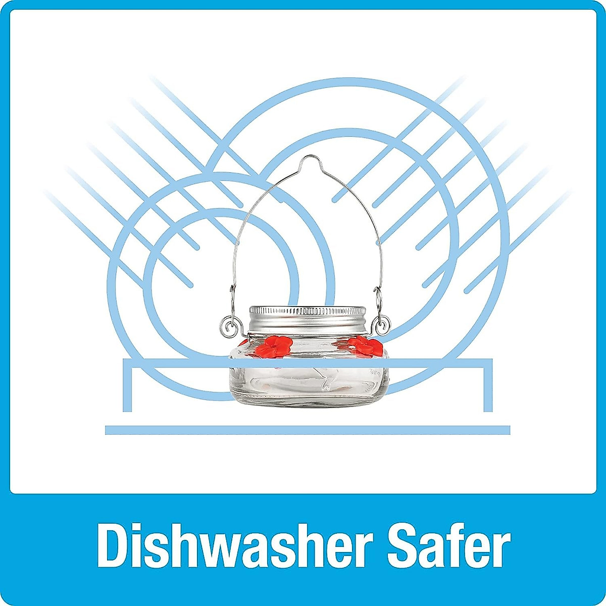 Nature's Way Bird Products MJF1 Nature's Way Mason Jar Hummingbird Dish Feeder, Clear 4" dia.