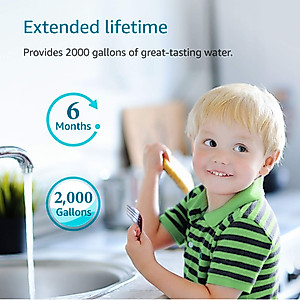 AQUA CREST GXULQR, FQK1R Under Sink Replacement Filter, Replacement for Hexagonal Head GE SmartWater GXULQR, GXULQK and GXK140TNN, 2K Gallons (Pack of 2)