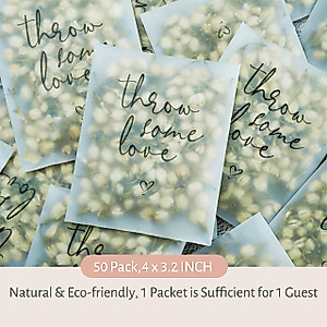 Rainbow Pana 50 Pack Prefilled Confetti Packets | Biodegradable Confetti, Dried Flower Petals | Real Flower Petals to Throw at Wedding, Confetti Bags, Glassine Bags Rose Petals Wedding Send Off Ideas