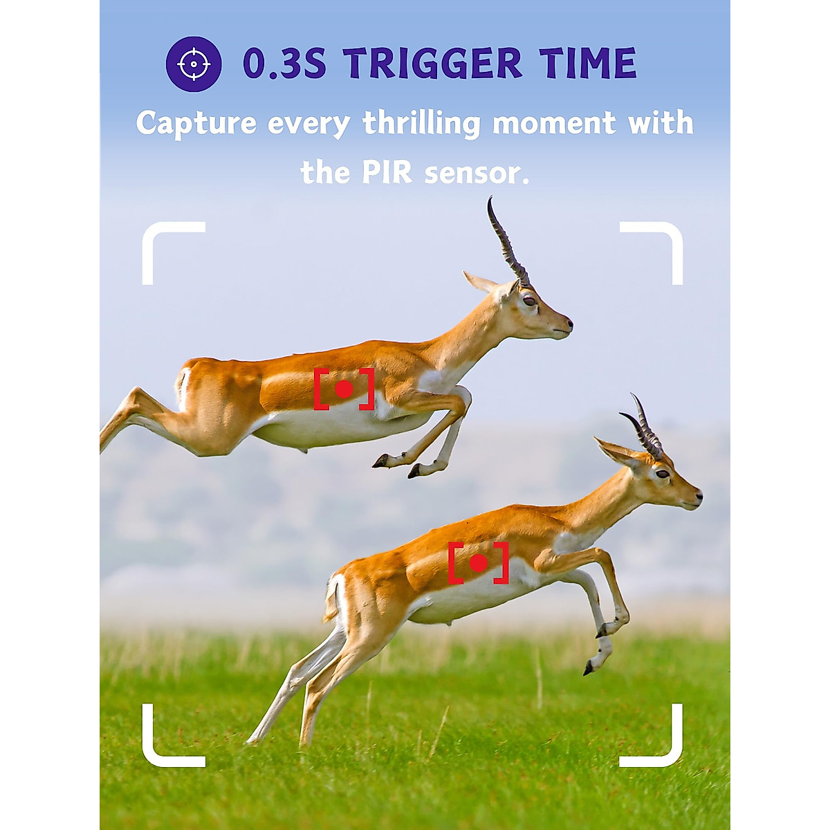 BLAZEVIDEO 2-Pack Trail Game Cameras 48MP 1296P Video No Glow Night Vision 110° Field of View Motion Activated IP66 Waterproof for Outdoor Wildlife Hunting, Animal Observation, Backyard Security