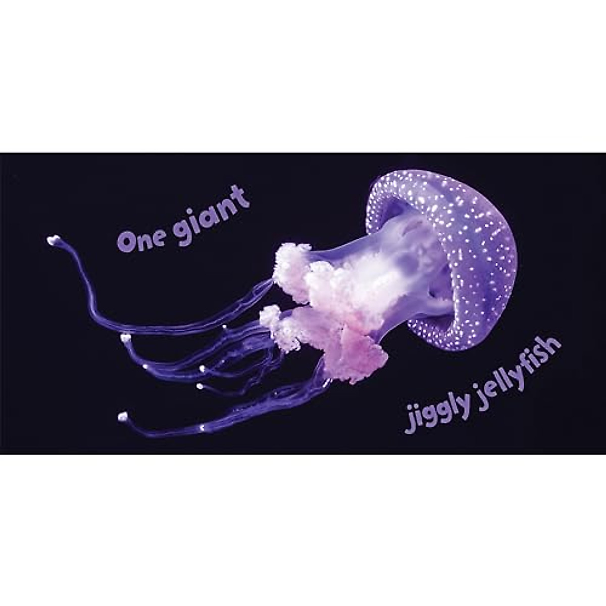 Big Beautiful Ocean – A Photographic Exploration – Perfect for Infants and Toddlers, Ages 0-3 – Nature and Science Photo Book