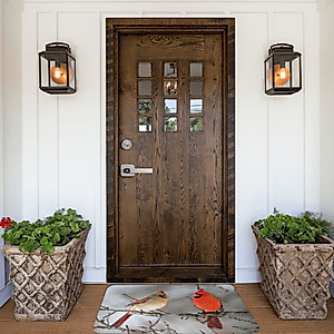 Bath Rugs Cute Cardinal Birds Standing on Branches Door Mat Outdoor Winter Birds Natural Design Doormat Non Slip Absorbent Bathroom Rug Carpet for Home Entrance Kitchen 16x24in