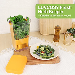 LUVCOSY Fresh Herb Keeper for Refrigerator, Clear BPA-Free Herb Saver, Storage Container for Cilantro, Parsley, Thyme, Mint & Asparagus, Preserver Keeps Fresh Herbs for 3 Times Longer, Green & Orange