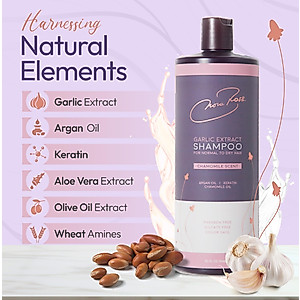 Nora Ross Garlic Shampoo with Chamomile Scent for Normal to Dry Hair, Thickening & Volumizing Formula, All Natural Care against Excess Hair Loss - 32 Oz
