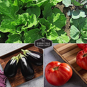 Survival Garden Seeds Vegetable Garden Collection Seed Vault - Non-GMO Heirloom Family Garden Seeds for Planting - Non-Hybrid Varieties - Mix of Vegetable Seed Packets - 15 Varieties of Vegetables