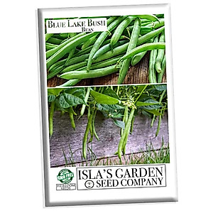 Blue Lake Bush Green Bean Seeds, 50+ Heirloom Seeds Per Packet, Non GMO Seeds, (Isla's Garden Seeds), Botanical Name: Phaseolus vulgaris