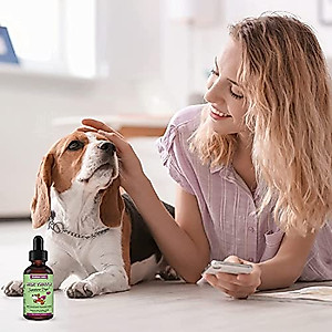 Wonder Paws Milk Thistle for Dogs, Liver Support for Dogs, Supports Kidney Function for Pets, Detox, Hepatic Support, with Wild Alaskan Salmon Oil & Curcumin, Omega 3 EPA & DHA - 2 oz Pet Supplement