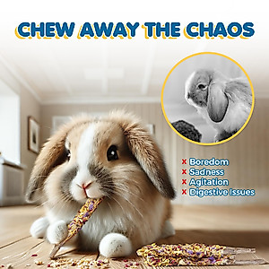 SunGrow Apple Sticks, Wood Chew Sticks for Rabbits, Chinchillas, Bunny, Hamster, Squirrel, Guinea Pigs, Small Animals Molar Pet Chew Toys Treat Sticks for Teeth Grinding (20 Pcs)