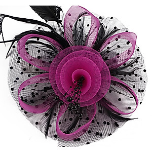 Fascinators for Women Tea Party Headband Kentucky Derby Wedding Cocktail Flower Mesh Feathers Hair Clip (Rose &Black)