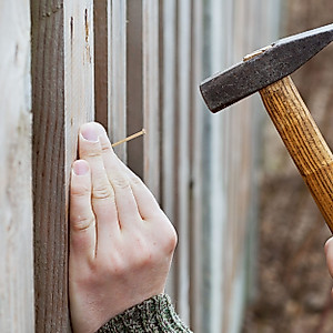 Mr. Pen- Nail Assortment Kit, 600 Pcs, 4 Sizes, Gold, Small Nails, Nails for Hanging Pictures, Finishing Nails, Wall Nails for Hanging, Pin Nails, Hardware Nails, Assorted Nails, Galvanized Nails.