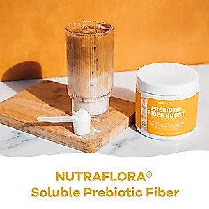 Prebiotic Fiber Supplement - Supports Gut Health and Digestive Regularity - Soluble Powder Fiber Supplement for Women + Men - Gummies Alternative - Gluten Free, Sugar Free, Keto, Vegan - 35 Serv