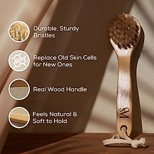 CSM Mini Dry Brush - Natural Bristle Small Body Brush, Exfoliating Facial Cleansing Brush for Soft Skin and Other Sensitive Areas Like Your Neck, Chest, and Nails