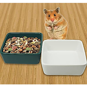 KUAO 2-Piece Set Hamster Feeding Bowl Square Ceramic White and Green Small Animal Dishes Food and Water Bowl with a Bamboo Shelf for Hamsters Guinea Pig Gerbil Hedgehog Rabbit and Little Cat