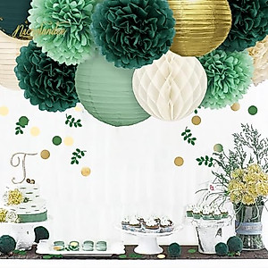 NICROLANDEE Wedding Party Decorations - 12PCS Emerald Green Hanging Tissue Pom Poms Gold Foil Dots Paper Lantern Confetti 30G for Rustic Style Bridal Shower Birthday Botanical Baby Shower Decorations