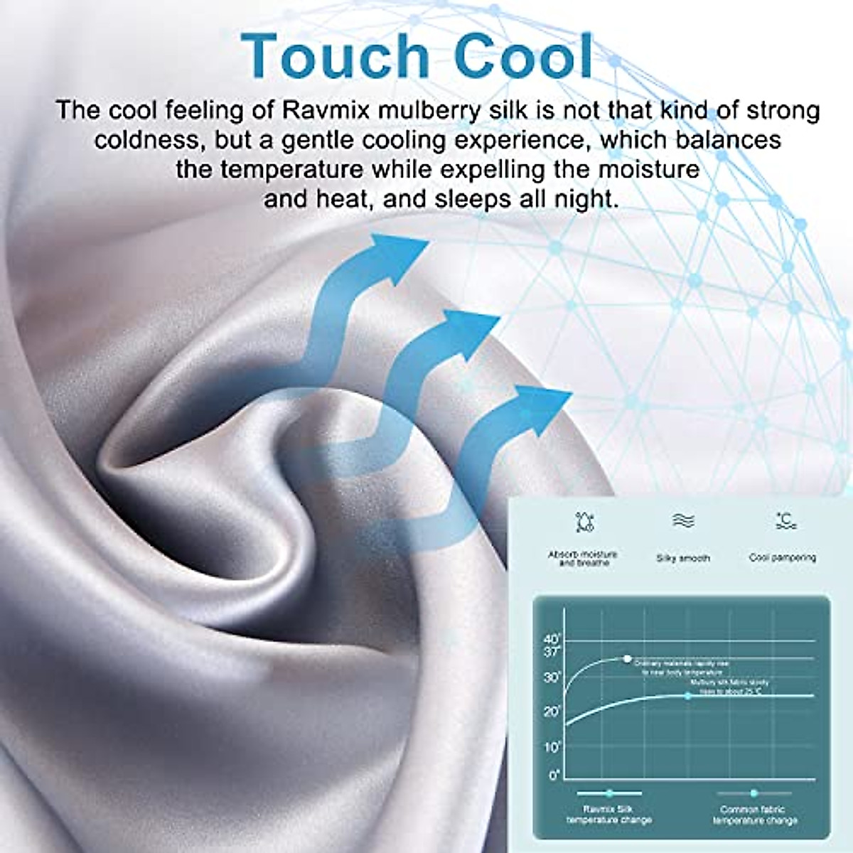 Ravmix Silk Pillowcase for Hair and Skin with Hidden Zipper, Both Sides 21 Momme Silk Pillow Case, Standard Size 20×26 inches, 1PCS, Silver Grey