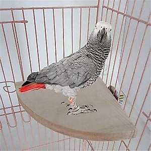 AOOF Wooden Coin Parrot Bird Cage Perches Stand Platform Pet Budgie Hanging Toy Pet Toys (Color : L)