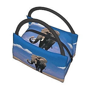 Elephant Lunch Box Picnic Bags Animal Tote Insulated Portable Elephant Decor Container Meal Bag