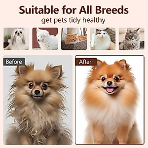 L&W BROS. Cat Steam Brush for Shedding Self Cleaning Steamy Cat Brush Cats Hair Grooming Brush Misting Cat Steamer Brush for Long Haired Cats(Pink)