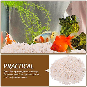 POPETPOP 1 Bag of River Rock Stones Natural Pebbles Gravel Outdoor Decorative Stones Garden Landscaping Stones Gravel Filler for Plant Aquariums Landscaping Vase Fillers