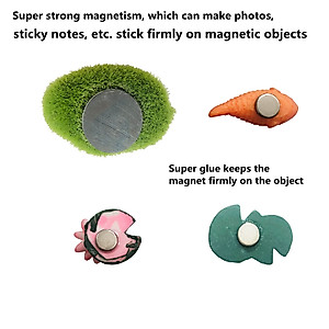 8 Pack Strong Refrigerator Magnets 3D Lotus Pond Carp Fridge Magnets, Cute Magnets Decorative Office Kitchen Whiteboard Locker