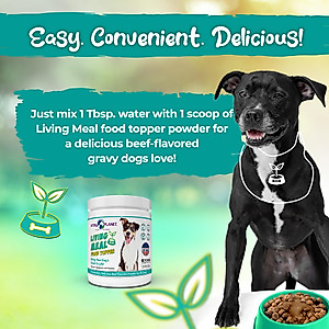 Vital Planet - Pet Living Meal Dog Powder with Enzymes Superfoods and Probiotics 111 g 30 Servings