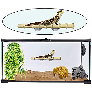kathson Reptile Plants Hanging Plastic Fake Climbing Terrarium Plant Decor Bearded Dragons Corner Branch Habitat Decorations for Amphibian Lizards Crested Gecko Snake Hermit Crab Frogs (Bamboo) 3Pcs