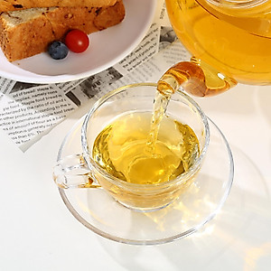 GURUDAR Glass Teacup and Saucer Set, 6 Pack Coffee Mug with Stainless Steel Spoon Suitable for Espresso Juice Cappuccino and More Beverage, 7OZ/210ML, Clear