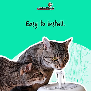 Purrfect Water Fountain Filter Set: 5-Layer Filter and Sponge Filter