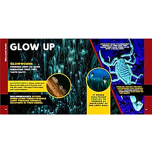 The Fascinating Bug Book for Kids: 500 Startling Facts! (Fascinating Facts)