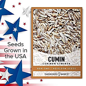 Cumin Seeds for Planting is A Heirloom, Non-GMO Herb Variety- Cuminum Cyminum Herb Seeds Great for Indoor and Outdoor Gardening by Gardeners Basics